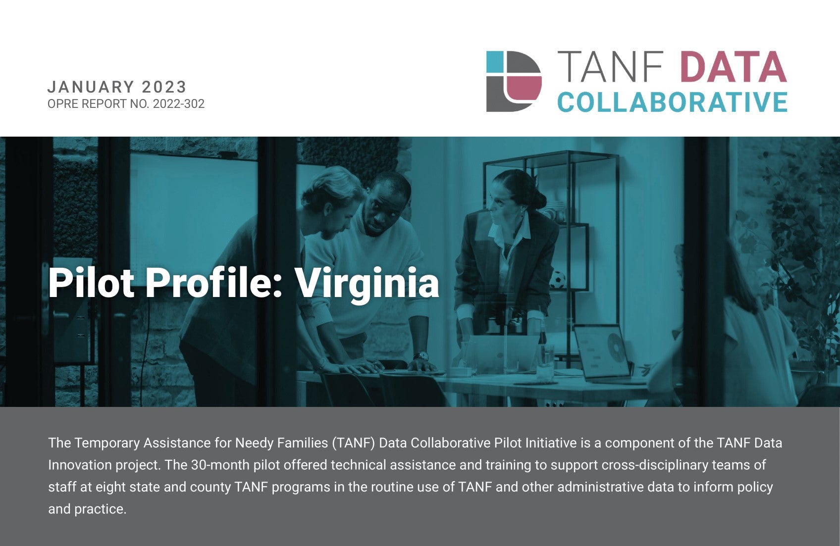 TANF: Temporary Assistance for Needy Families Archives - Digital ...